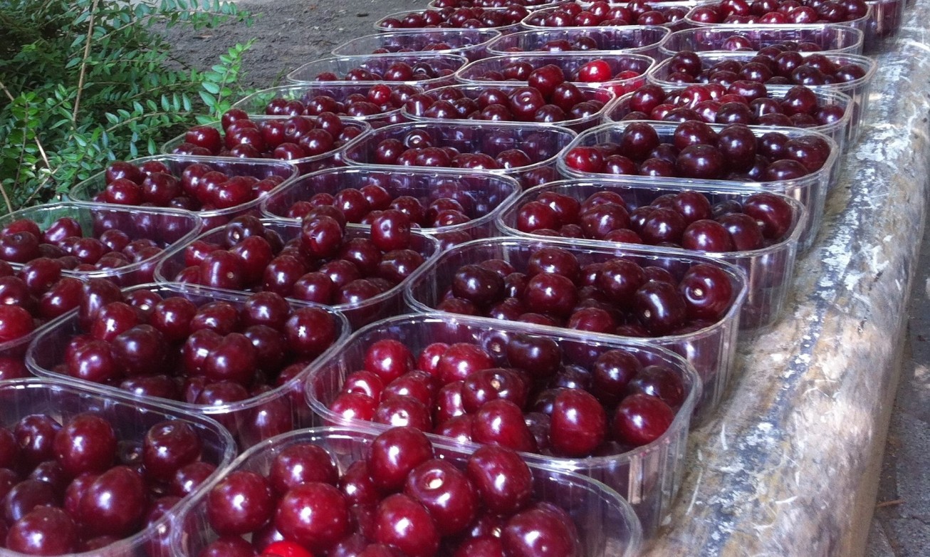 Reklámkampány a meggynek - MMOnline